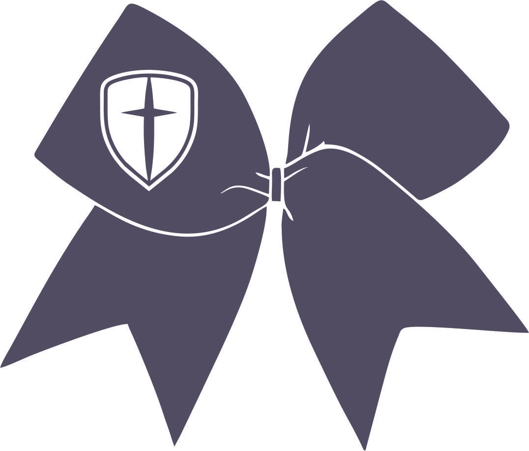 Required 3 inch NAVY cheer bow GLITTER practice bow | CHRISTY'S CLOSET